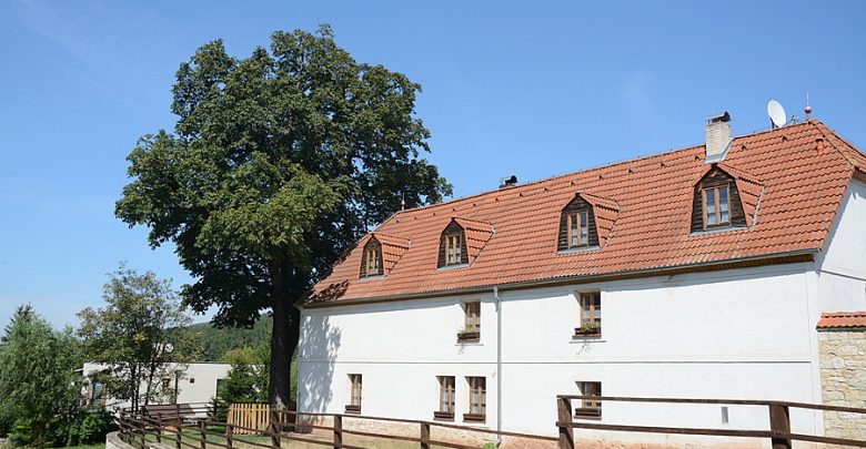 Jírovec u Kleinova statku v Konětopech – cokolivokoli.cz